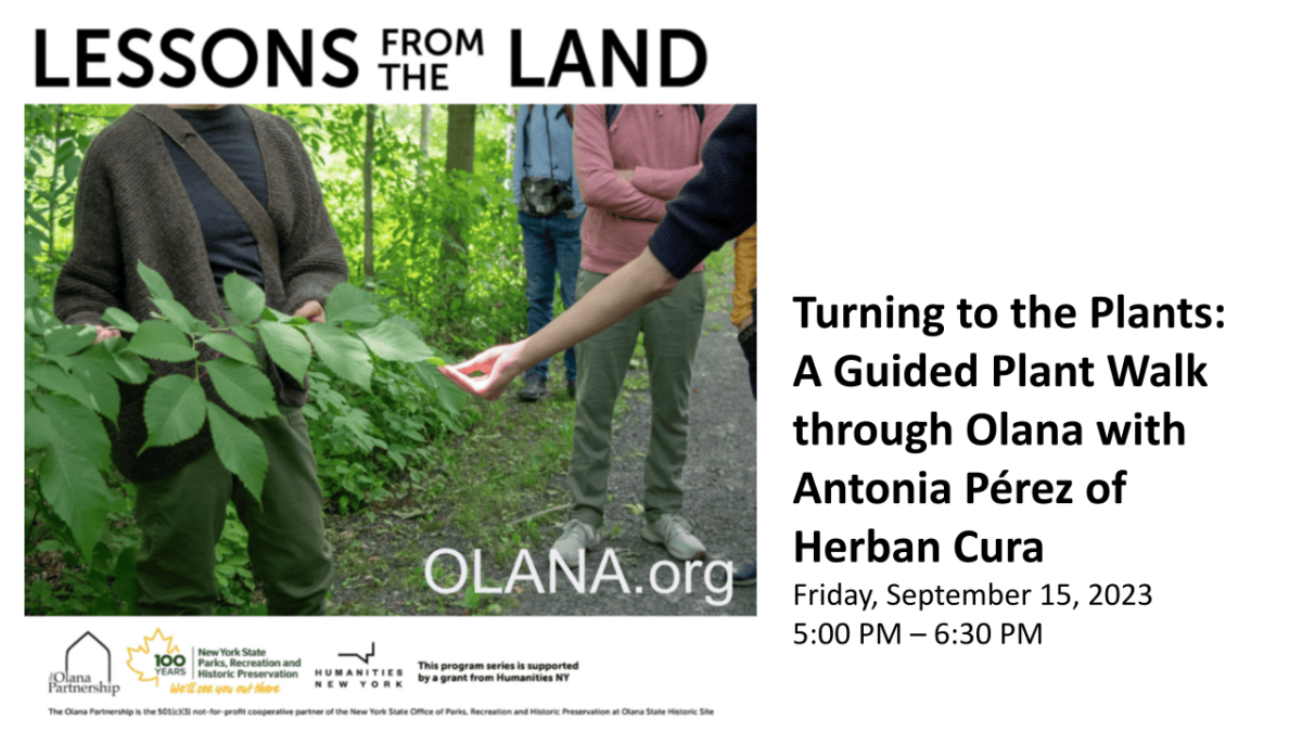 Turning to the Plants: A Guided Plant Walk through Olana - Olana NY ...